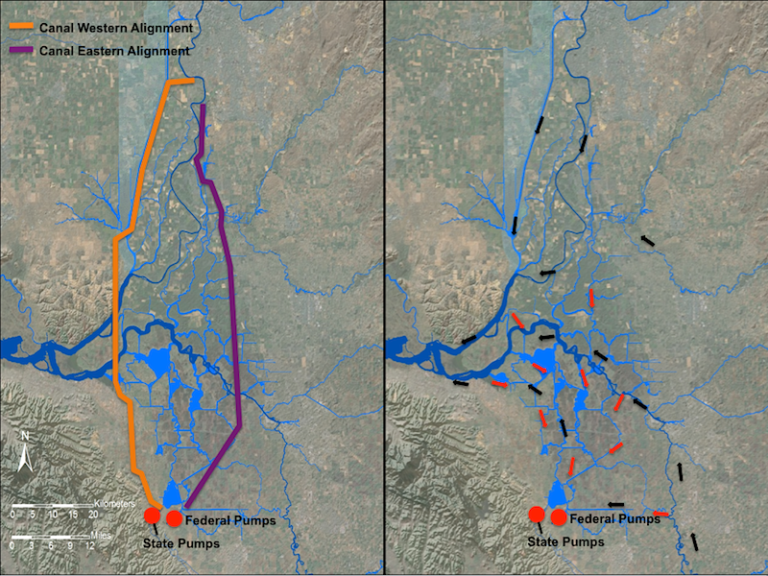 Peripheral Delta pipeline