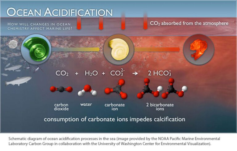 Ocean Acidification and Pacific Fish