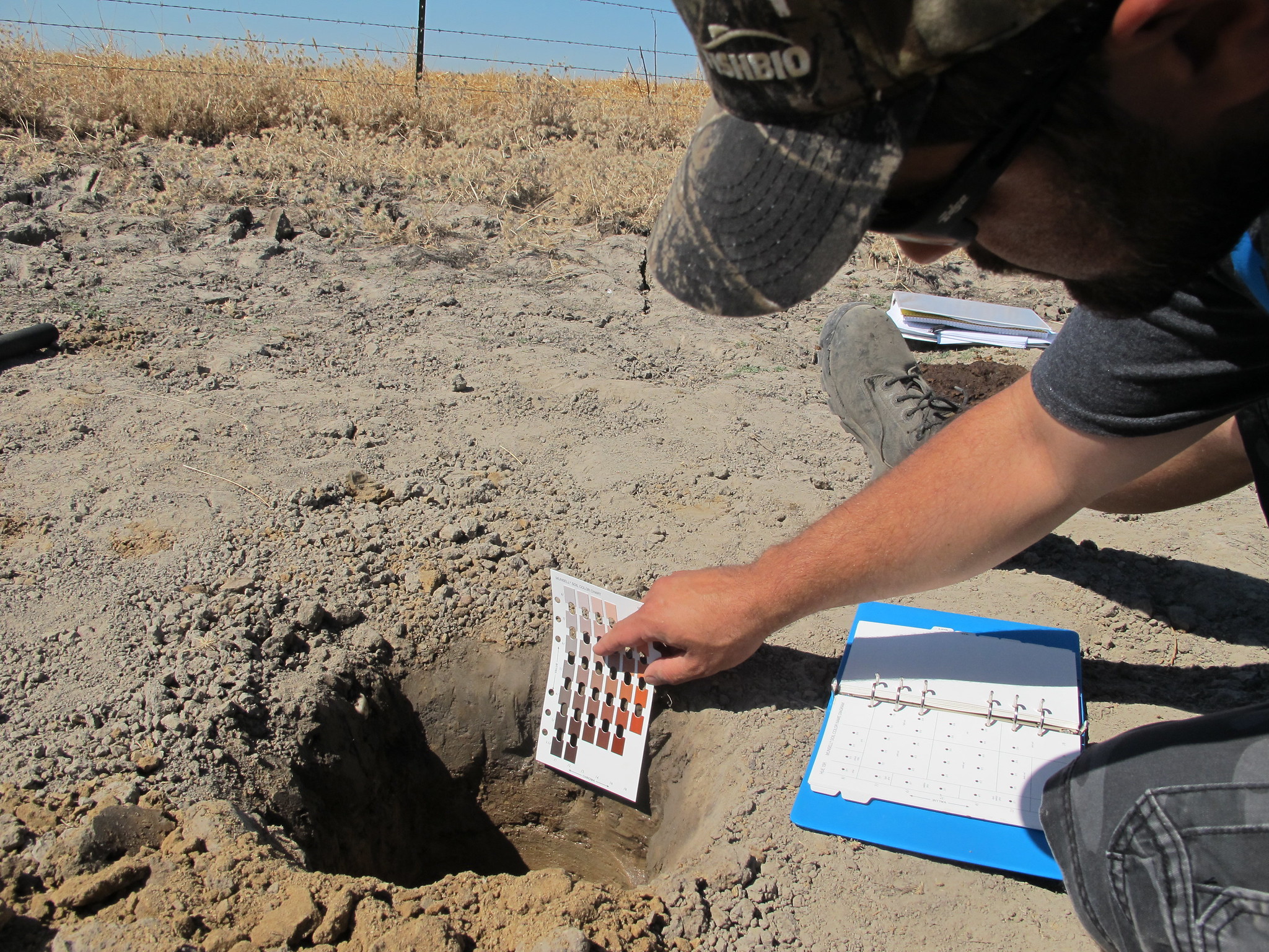 Wetland Delineation - FISHBIO | Fisheries Consultants