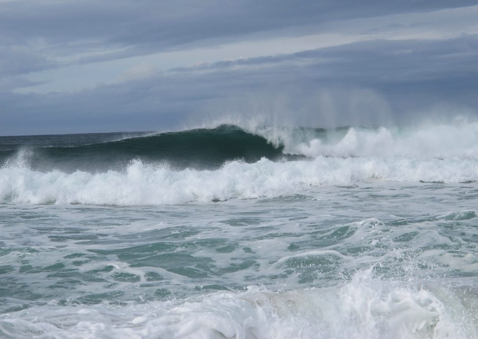 Swimming in a radioactive sea - FISHBIO | Fisheries Consultants