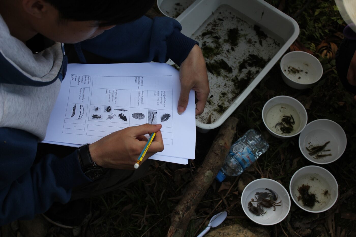 Water bug education - FISHBIO | Fisheries Consultants