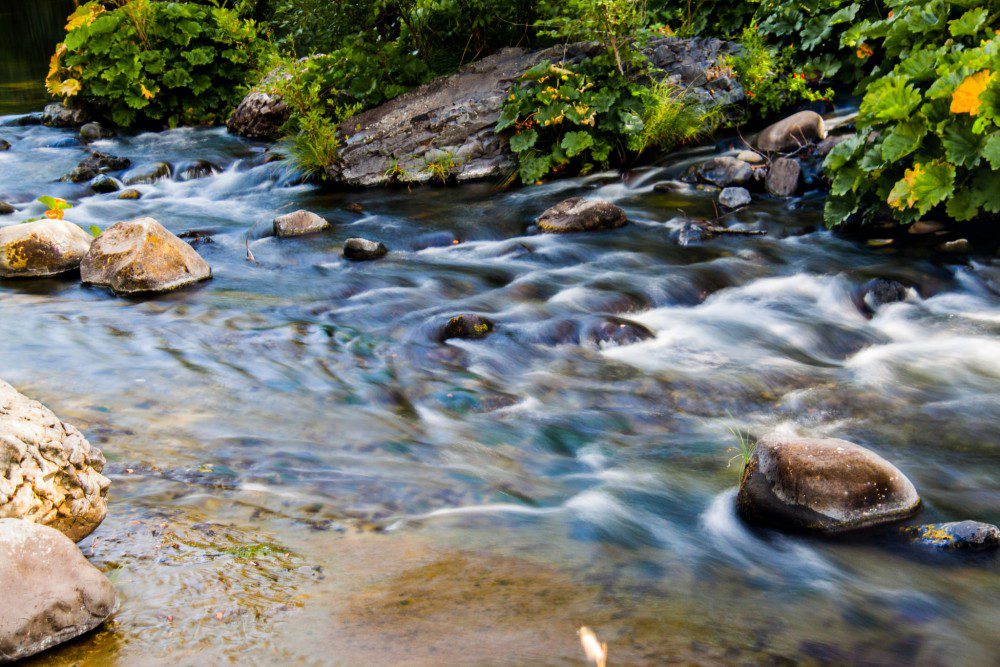 Digging deeper on fish and flows