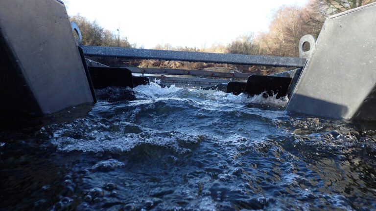 A Custom Automated Fish Ladder Monitoring System