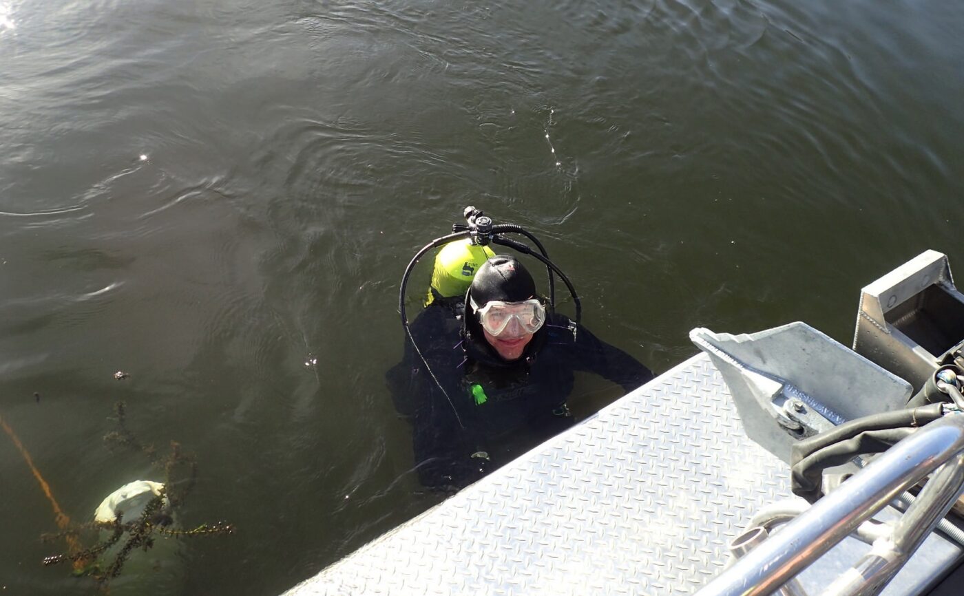 Diving the Delta - FISHBIO | Fisheries Consultants
