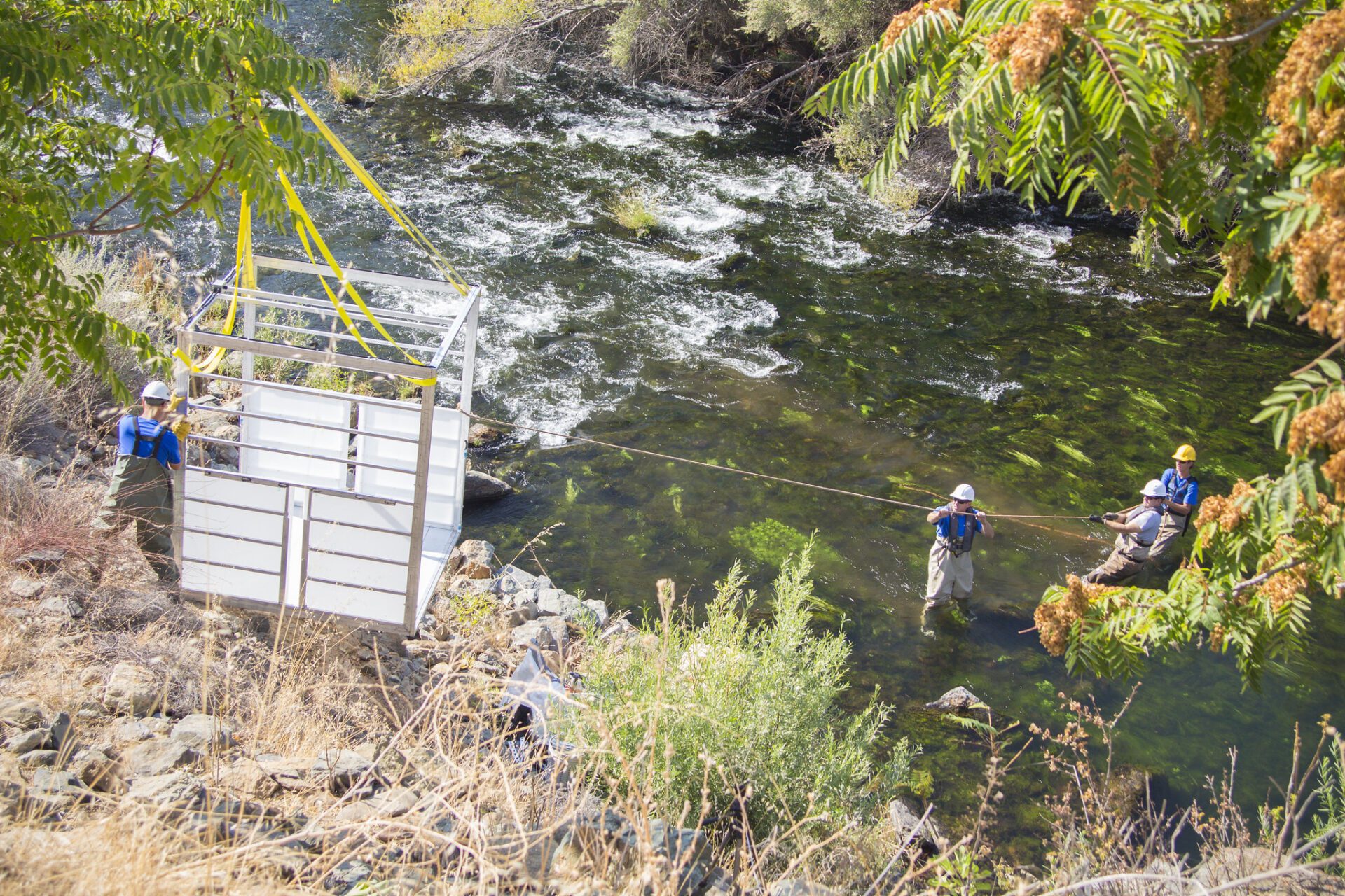 La Grange Rigid Weir - FISHBIO | Fisheries Consultants
