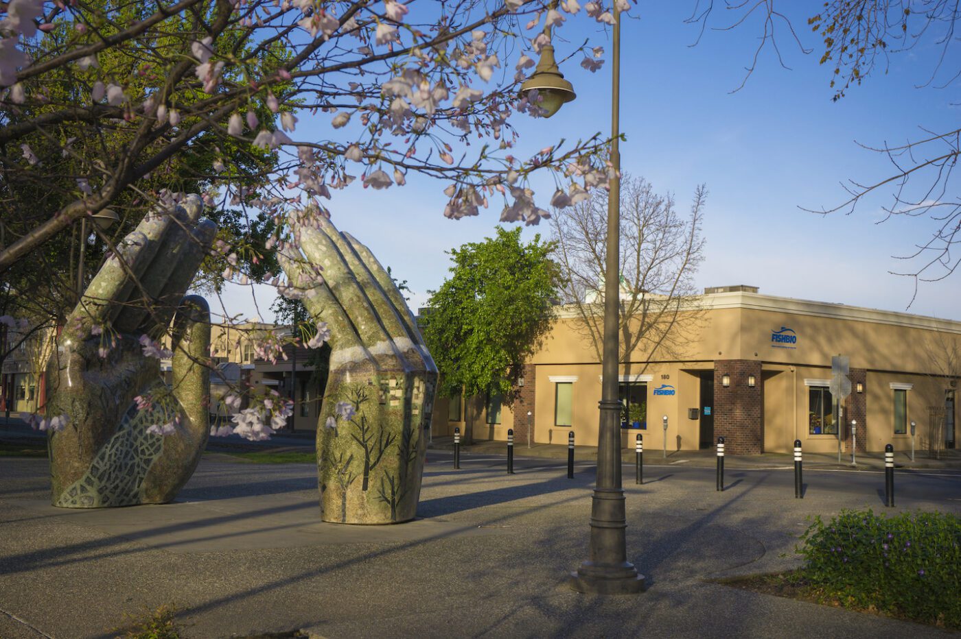 FISHBIO offices through the years - FISHBIO | Fisheries Consultants