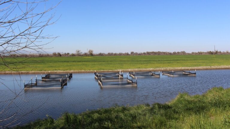 Dos Rios Ranch: A Model for Restoration