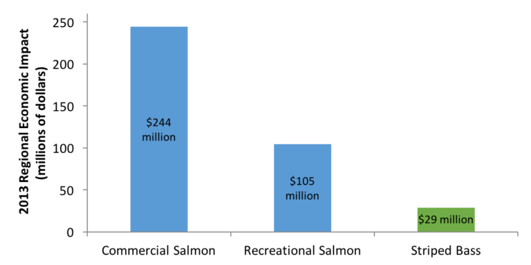 Salmon economic impact: What is a fish worth?