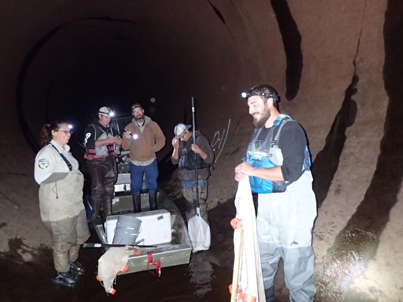 Subterranean Fish Rescue — Flashback Friday - FISHBIO | Fisheries ...
