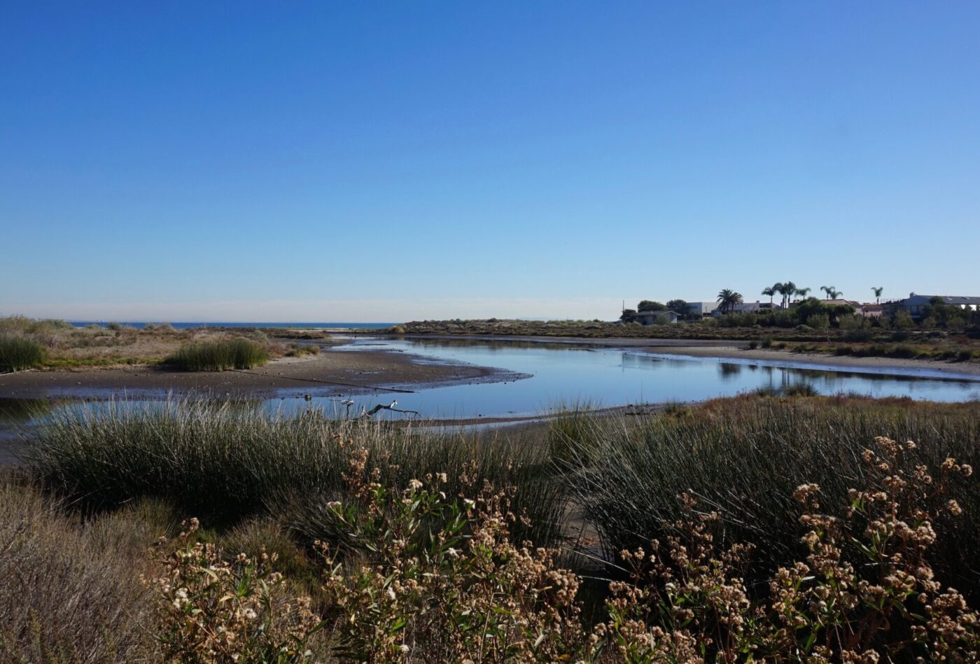 Photo Friday: Burn Zone - FISHBIO | Fisheries Consultants