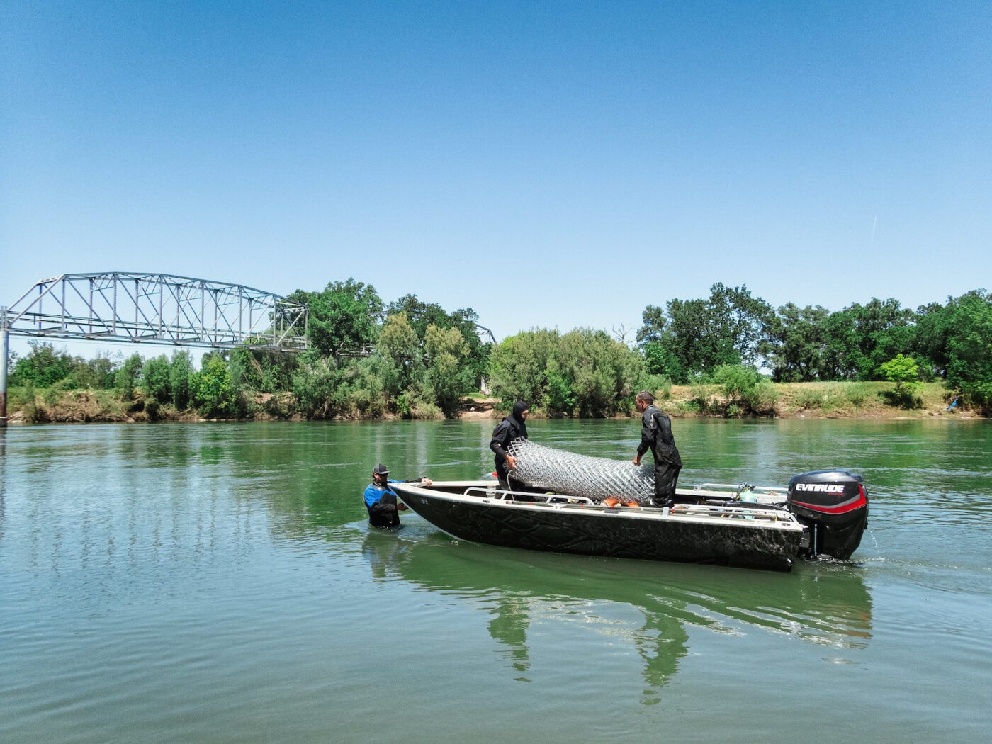 Rolling out the Un-Welcome Mat - FISHBIO | Fisheries Consultants