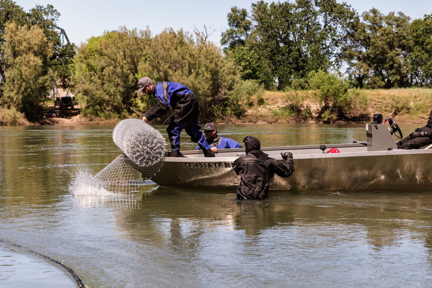 Anti-Spawning Mat Installation - FISHBIO | Fisheries Consultants