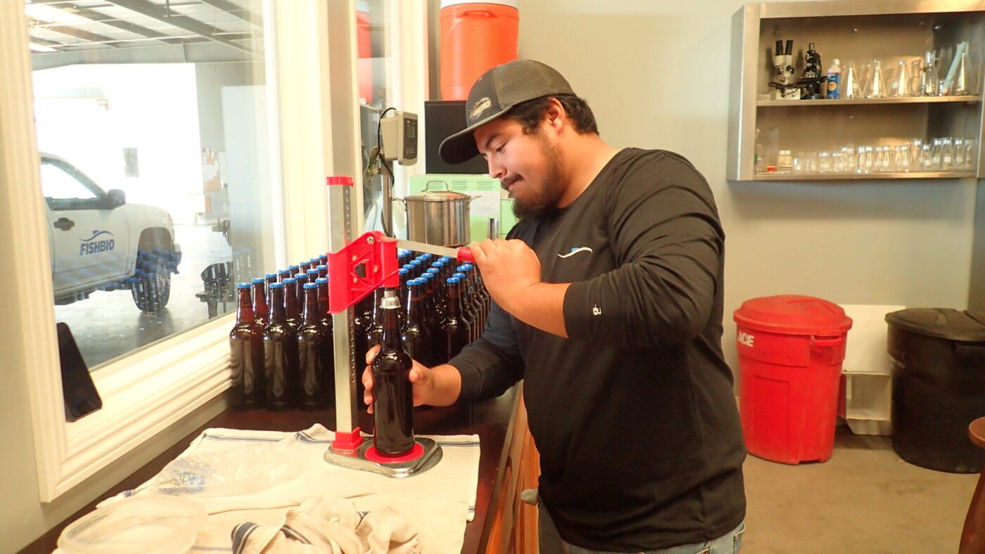 Brew FISHBIO Beer - FISHBIO | Fisheries Consultants