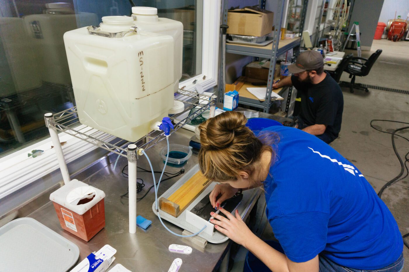 Research - FISHBIO | Fisheries Consultants