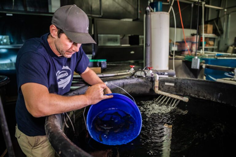 Fish Lab - FISHBIO | Fisheries Consultants