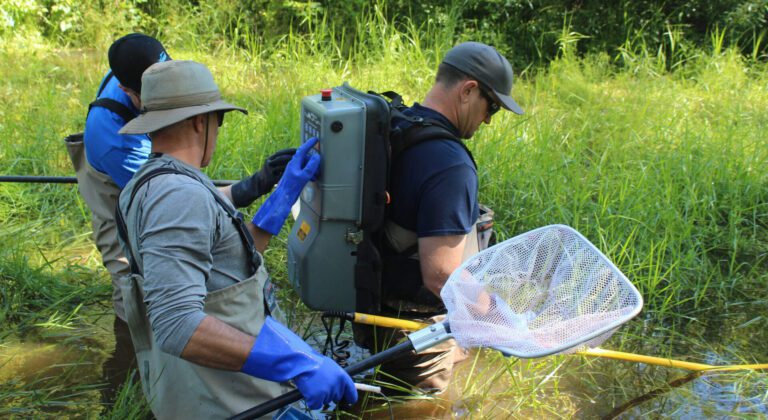 Electrofishing - FISHBIO | Fisheries Consultants