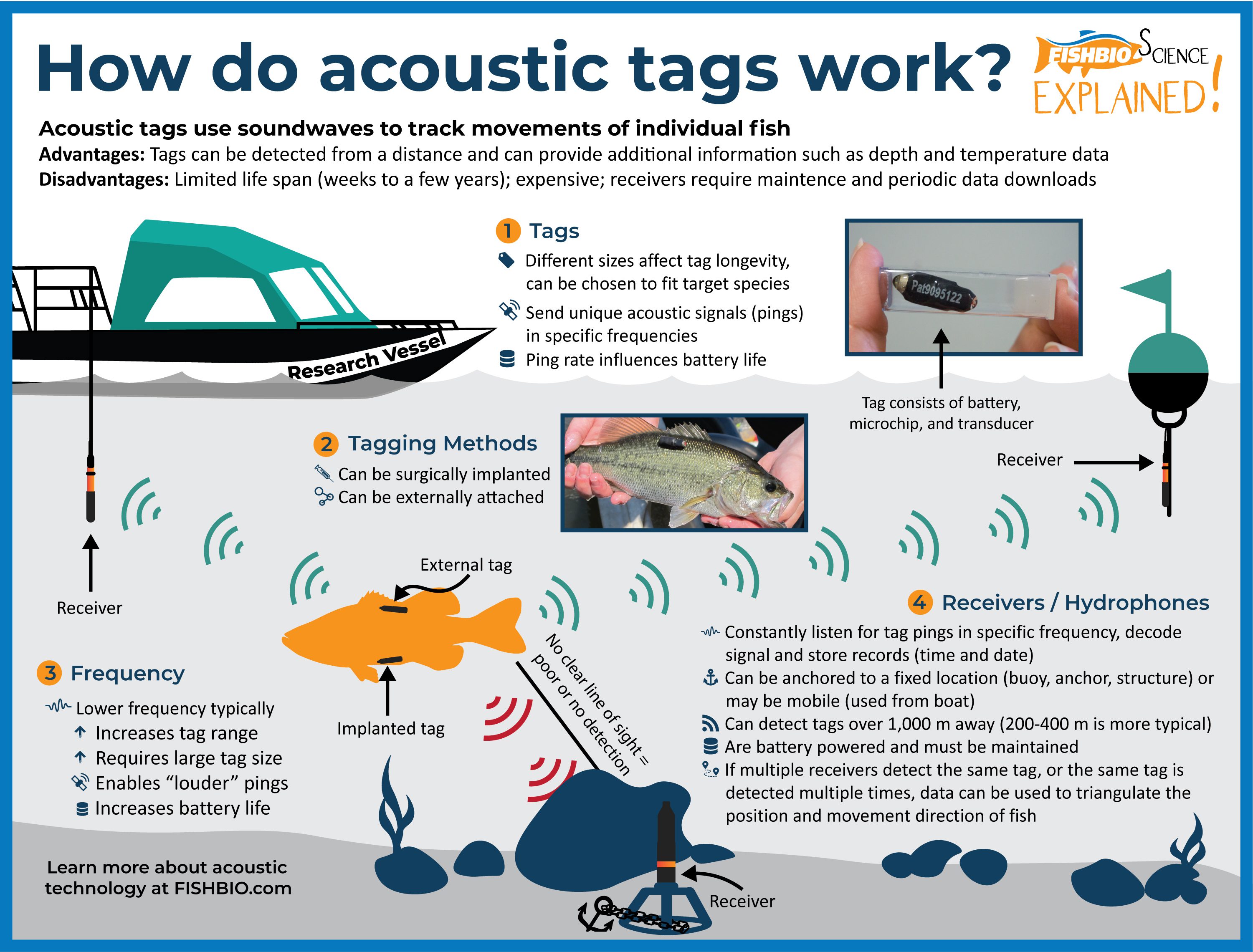 Acoustic Telemetry - FISHBIO | Fisheries Consultants