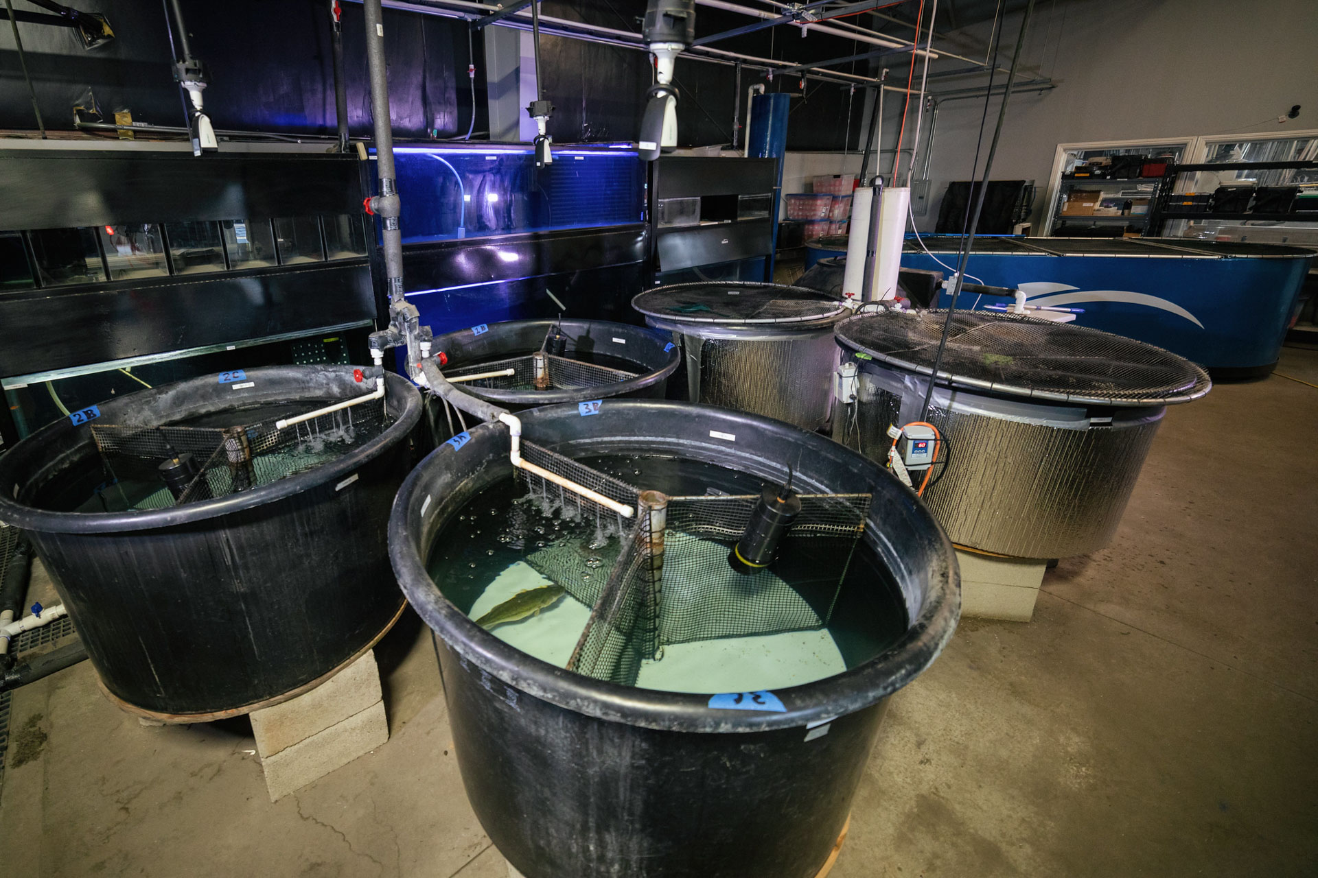 Fish Lab - FISHBIO | Fisheries Consultants