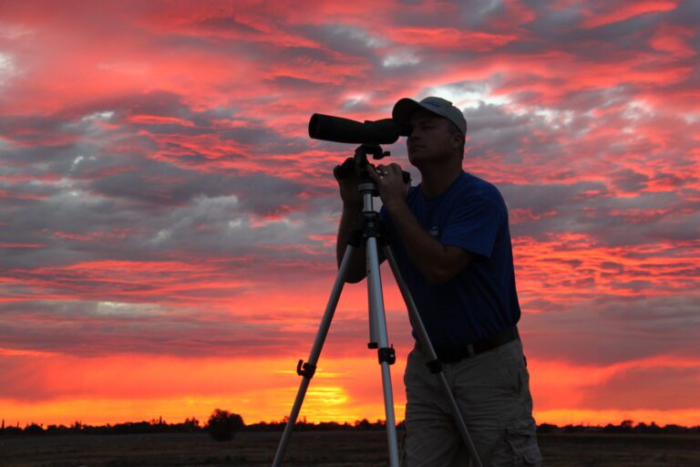 Surveying for Nesting Birds - FISHBIO | Fisheries Consultants