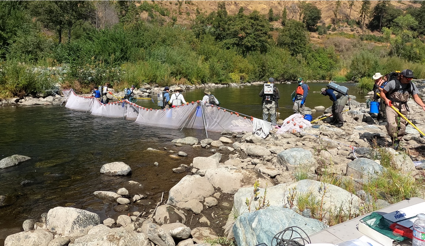 Staff - FISHBIO | Fisheries Consultants