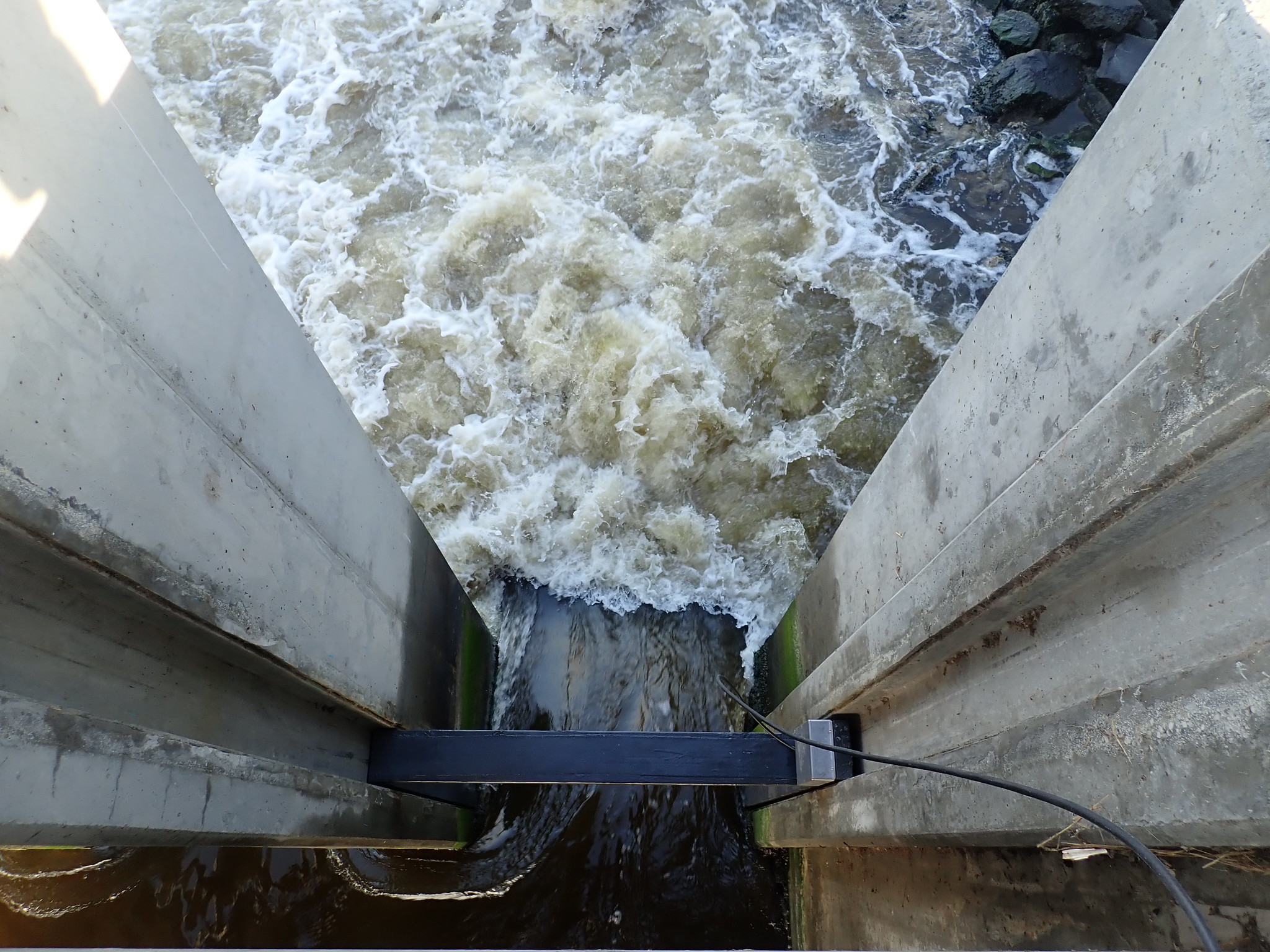 Alviso Slough PIT Antenna Array - FISHBIO | Fisheries Consultants