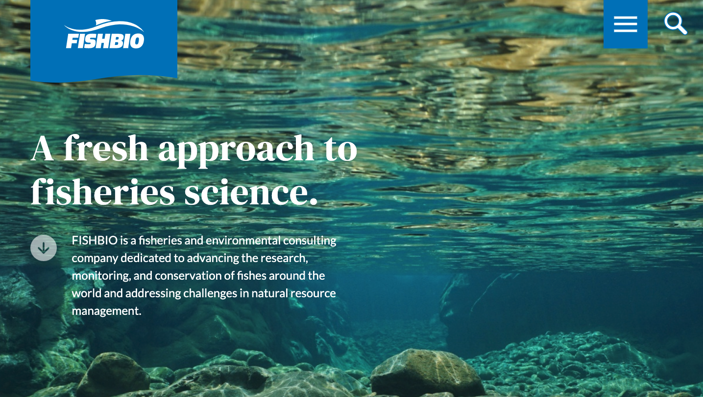 New Website Showcases the Best of FISHBIO - FISHBIO | Fisheries Consultants
