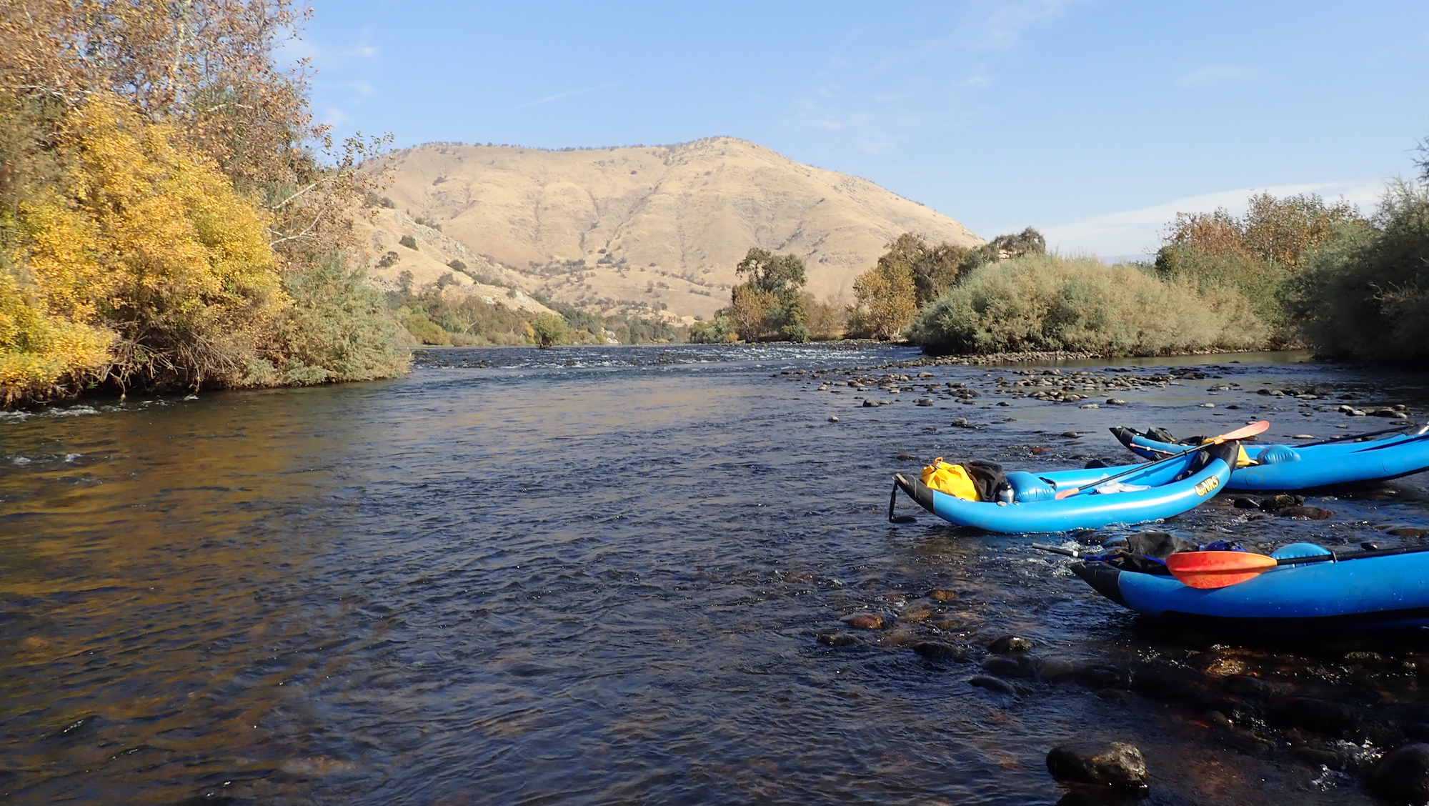 Kings River Snorkel Surveys - FISHBIO | Fisheries Consultants