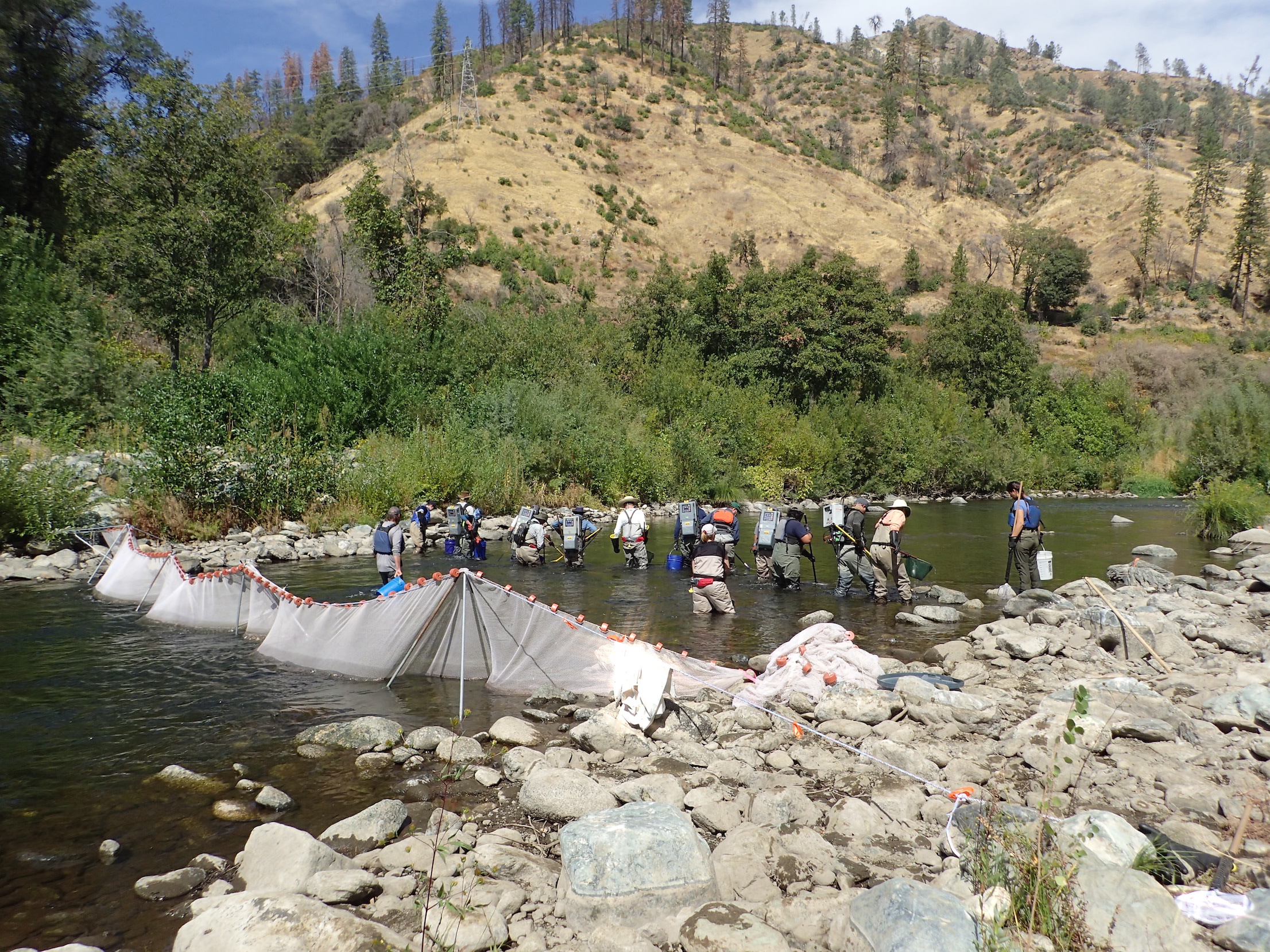 Feather River Compliance Monitoring - FISHBIO | Fisheries Consultants