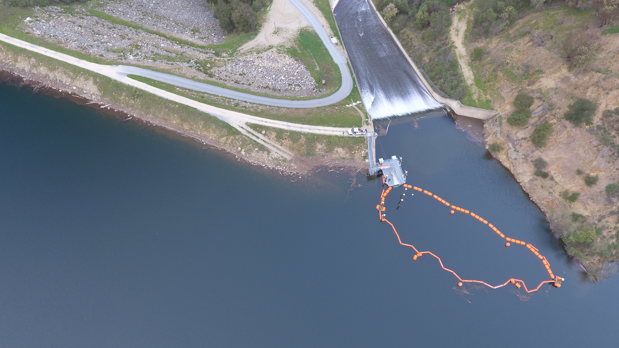 What Goes Up Might Not Come Down — Fishways as an Ecological Trap ...