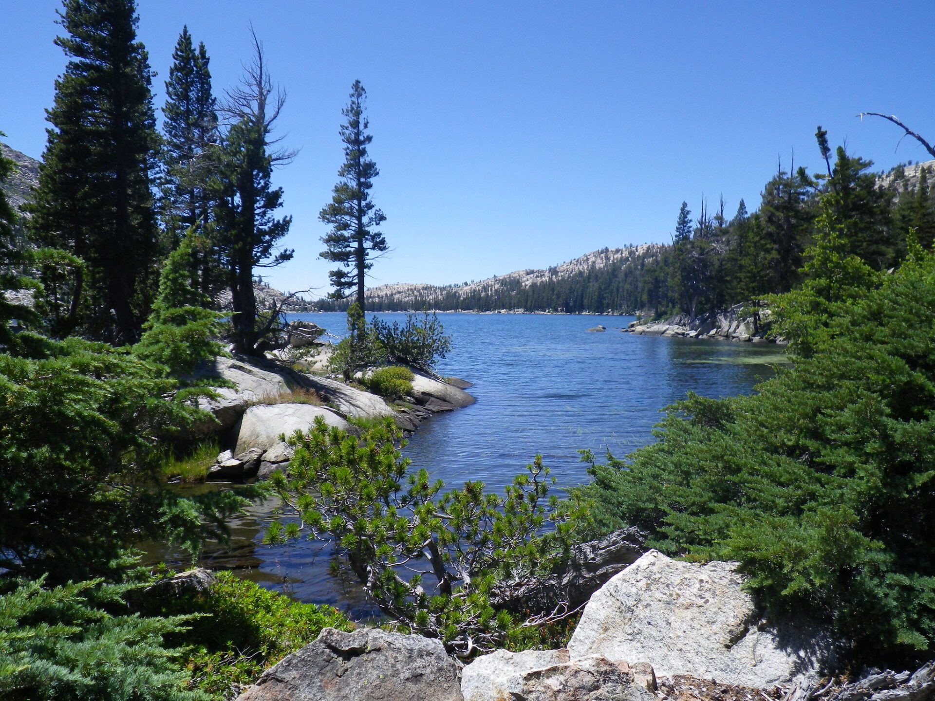 What's That Smell?: Why Local Waters May Smell Like Rotten Eggs ...