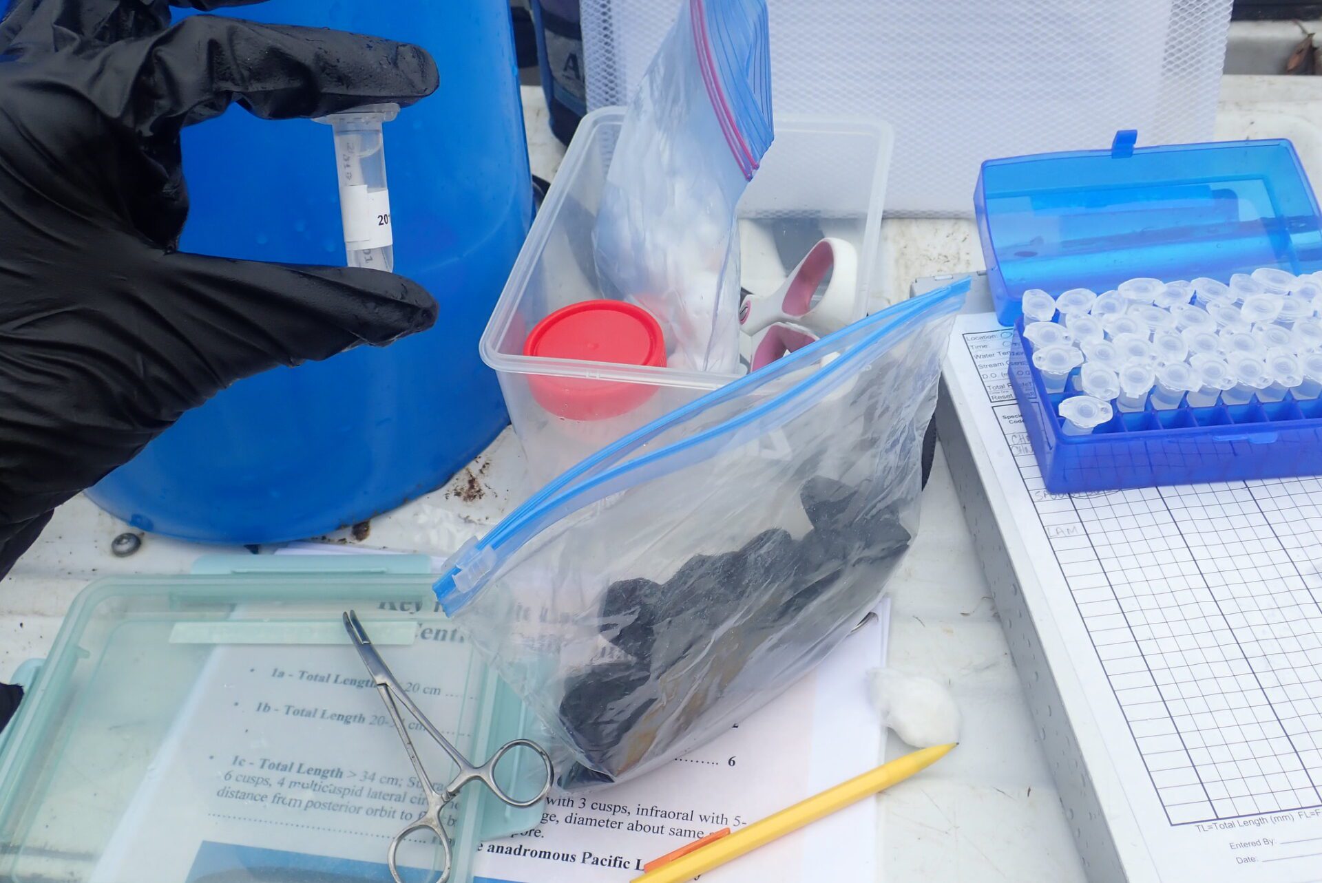 Bringing the Lab to the Field – CRISPR Technology Rapidly Identifies ...