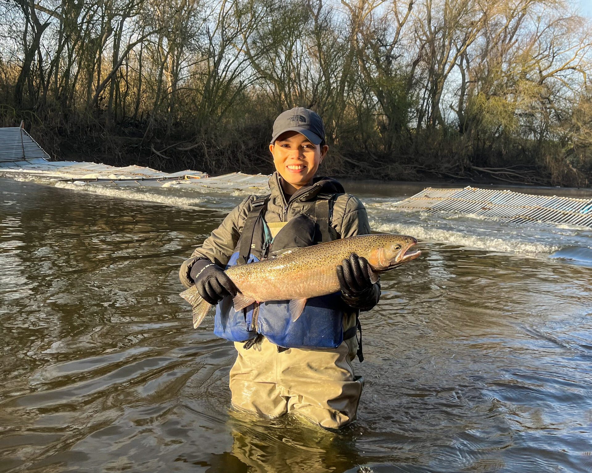 The Endangered Species Act: 50 Years of Fighting for Conservation ...