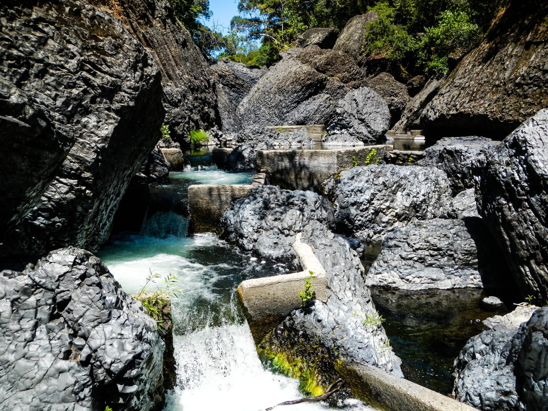 If You (Un)build It, They Will Come: Studying Impacts of Fish Passage ...