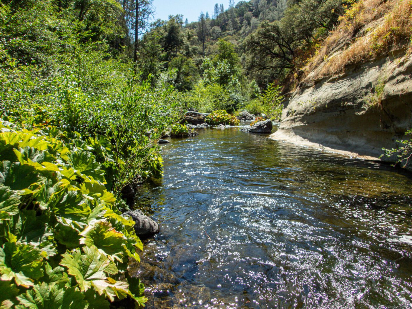 If You (Un)build It, They Will Come: Studying Impacts of Fish Passage ...