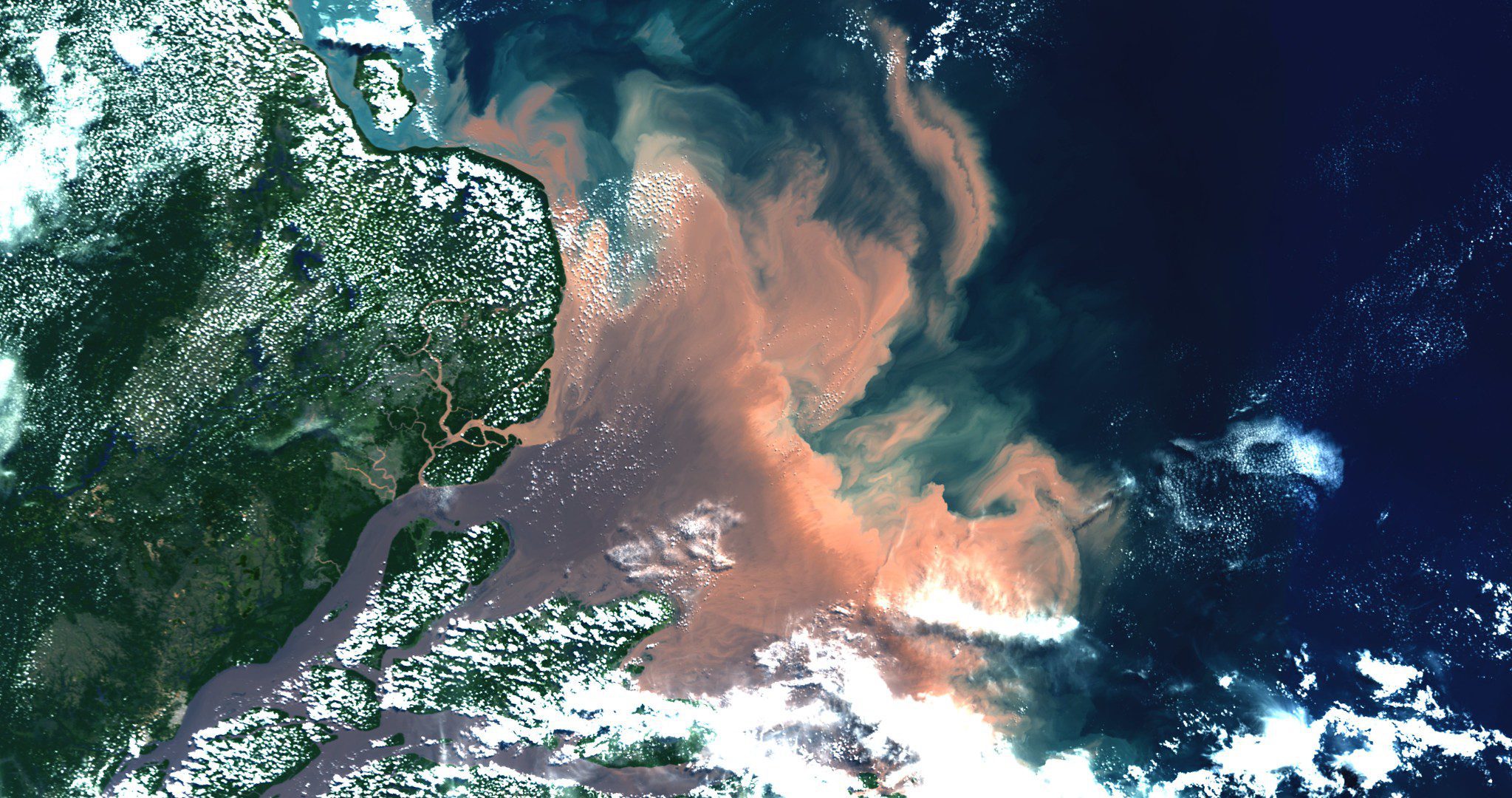 Wild Rivers: The Amazon – Bastion of Biodiversity - FISHBIO | Fisheries ...