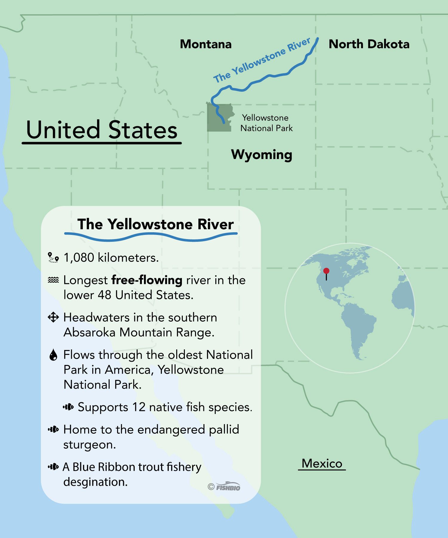 Wild Rivers: The Yellowstone - A Free Flowing Fish Paradise - FISHBIO ...