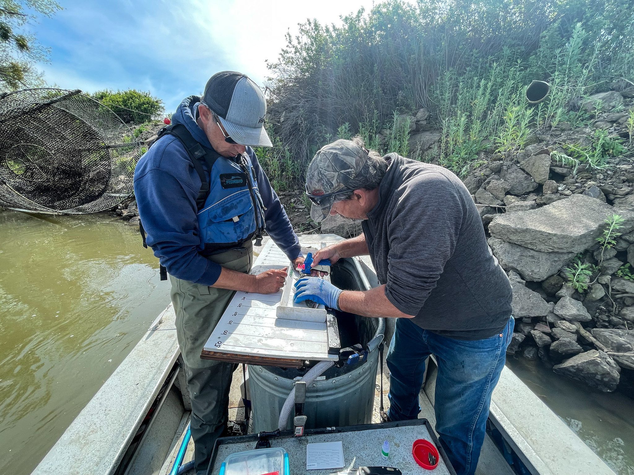 A Window into the Life of a Fisheries Technician - FISHBIO | Fisheries ...