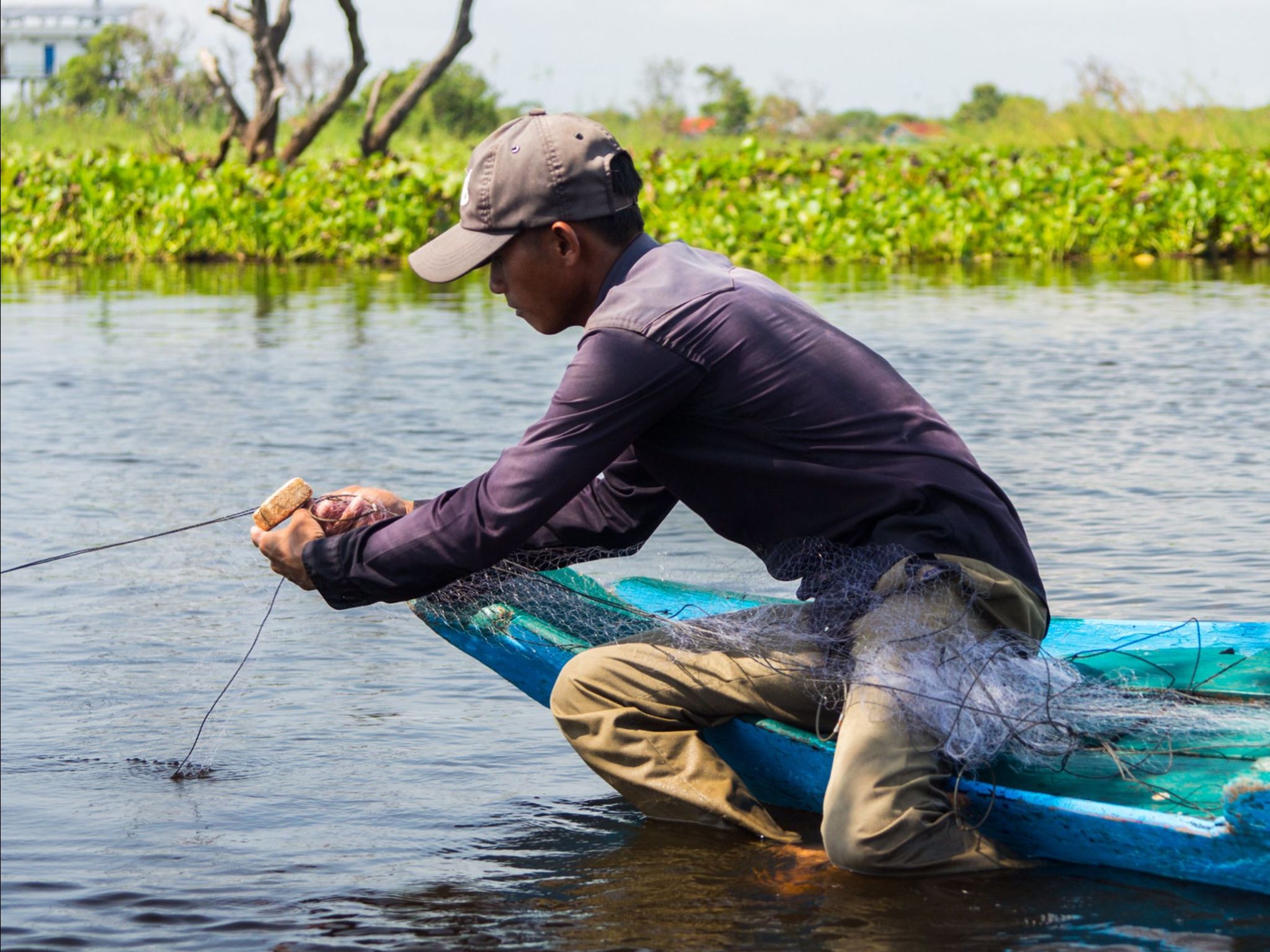 The Climes They Are a Changin’: Climate Change Alters Fish ...