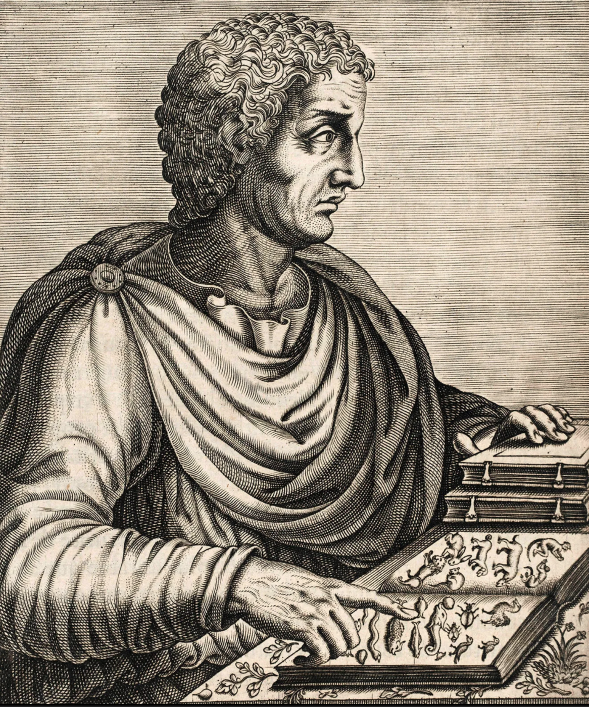 Defining a Fish: The Confoundingly Challenging Task of Fish Taxonomy ...