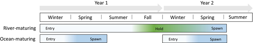 Ancient Fish, Modern Science: Pacific Lamprey Migration Types Linked to ...