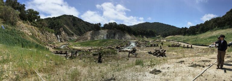 Right as Rain: Salmon Surge After Consecutive Wet Years - FISHBIO ...