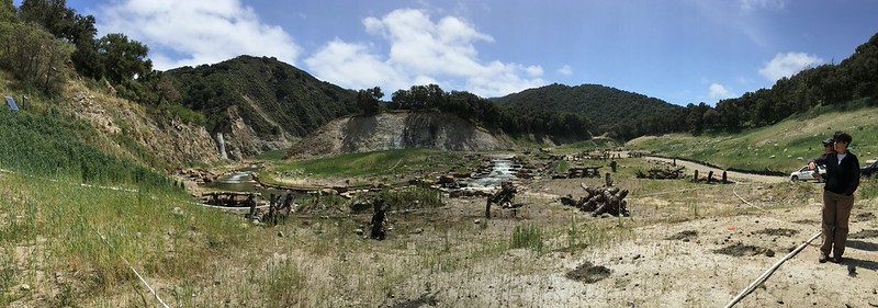 Right as Rain: Salmon Surge After Consecutive Wet Years - FISHBIO ...