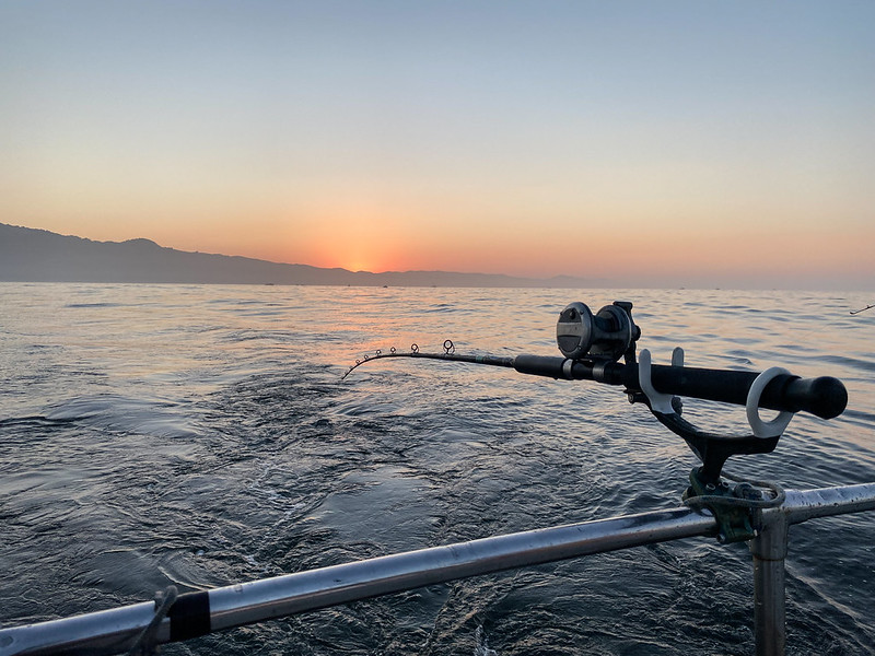 Right as Rain: Salmon Surge After Consecutive Wet Years - FISHBIO ...